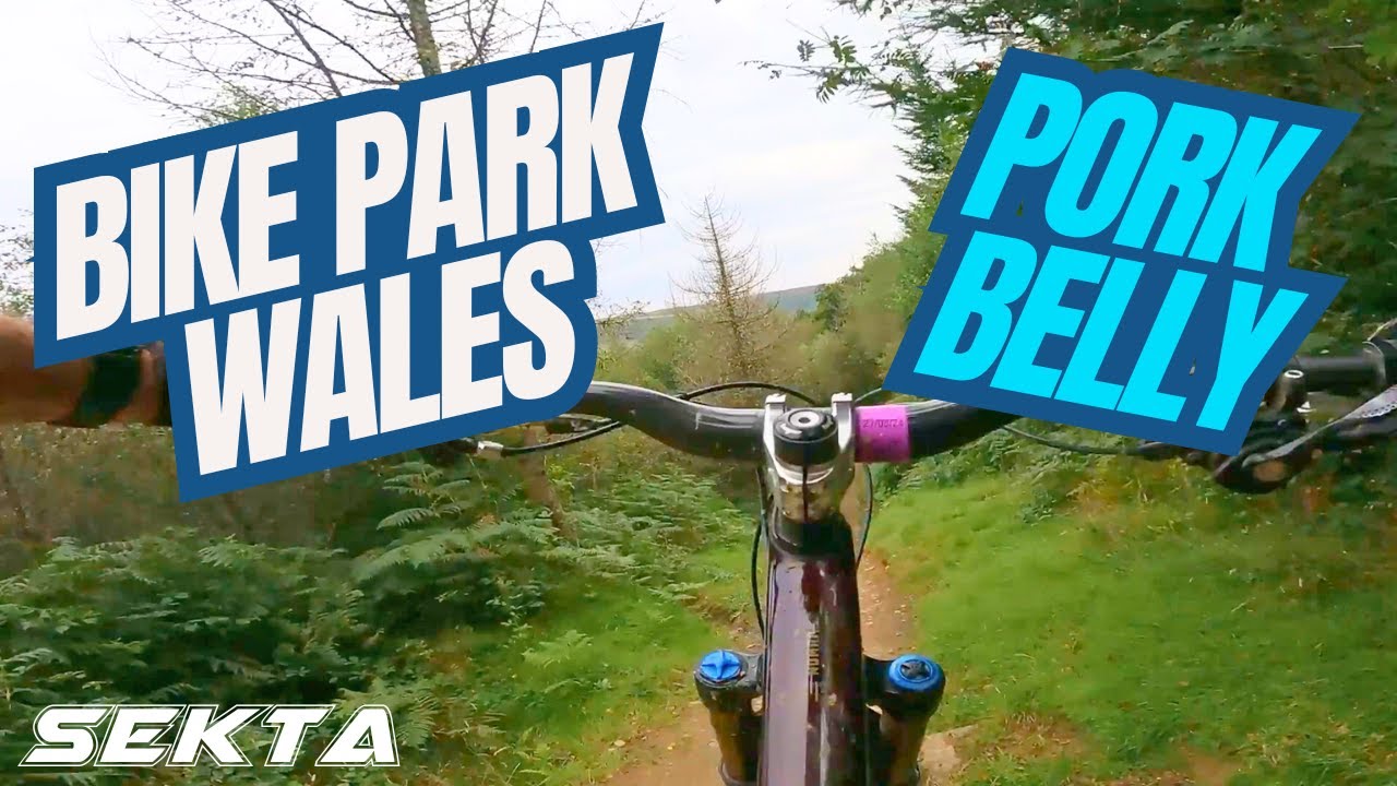 BIKE PARK WALES MTB💥Pork Belly (Black flow trail BPW) - YouTube