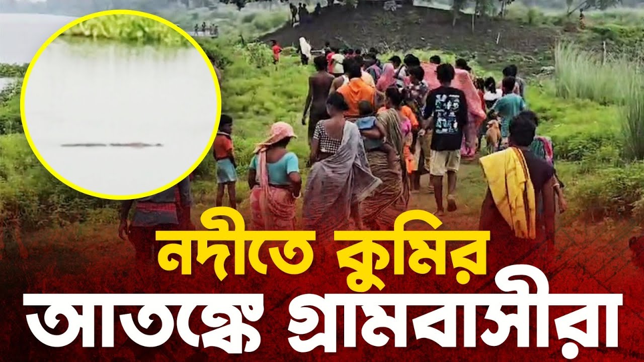 নদীতে ঘুরছে একাধিক কুমির, চরম আতঙ্কে গ্রামবাসীরা।—প্রতিবাদী আওয়াজ ...