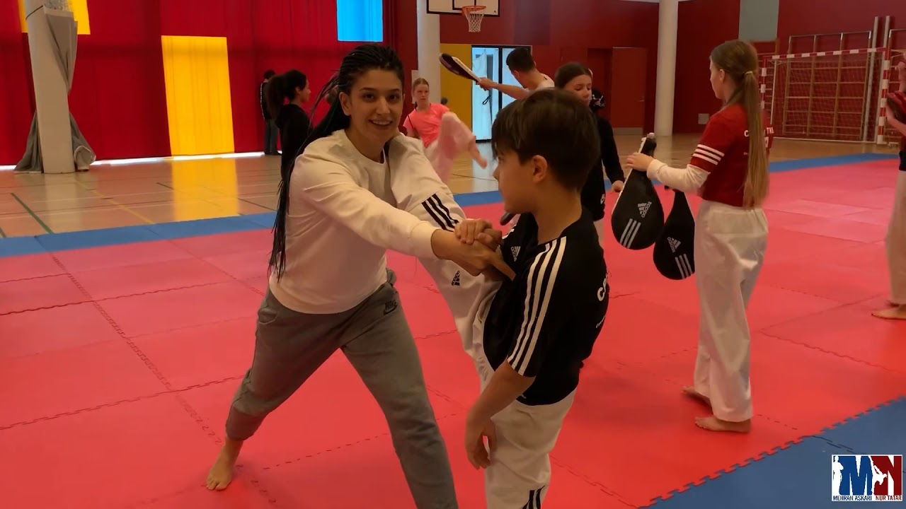 Mehran askari nur tatar 2018 denmark seminar - YouTube