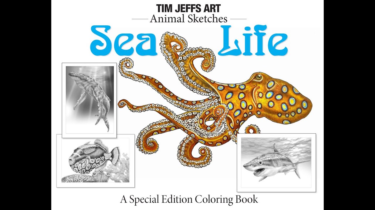 Sea Life Coloring Book by Tim Jeffs Flip Through Video - YouTube