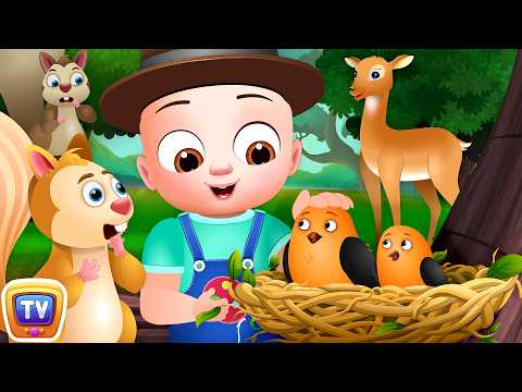 The New Little Forest Ranger - ChuChuTV Storytime Adventures Collection
