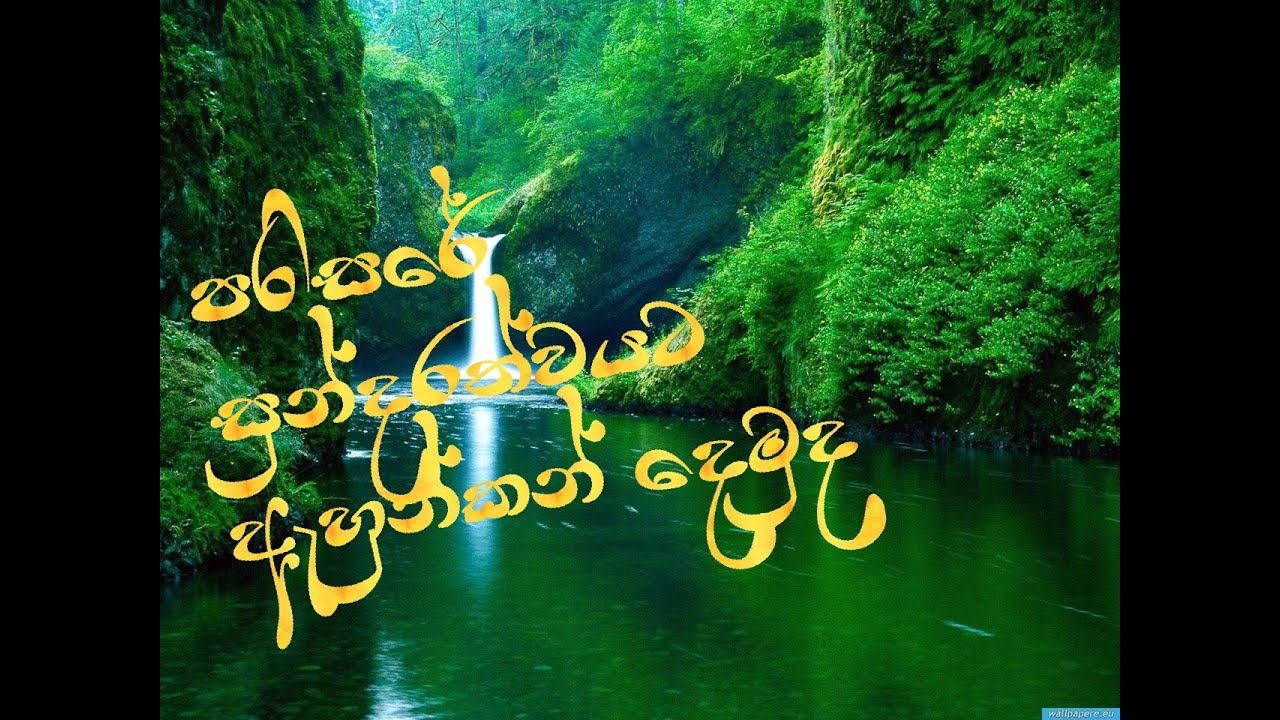 Let's listen to the sounds of the natural environment - YouTube