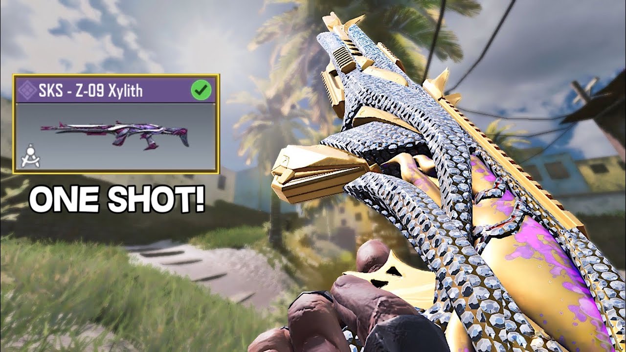 The SKS Is The BEST Gun In Codm! (The Best Sks Gunsmith!) - YouTube