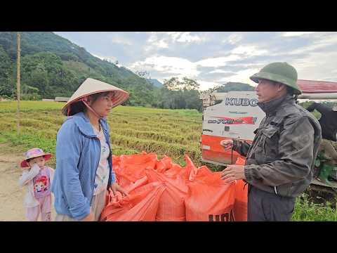 The whole family harvested the rice together, and Hoi helped Thu when Chip was sick.