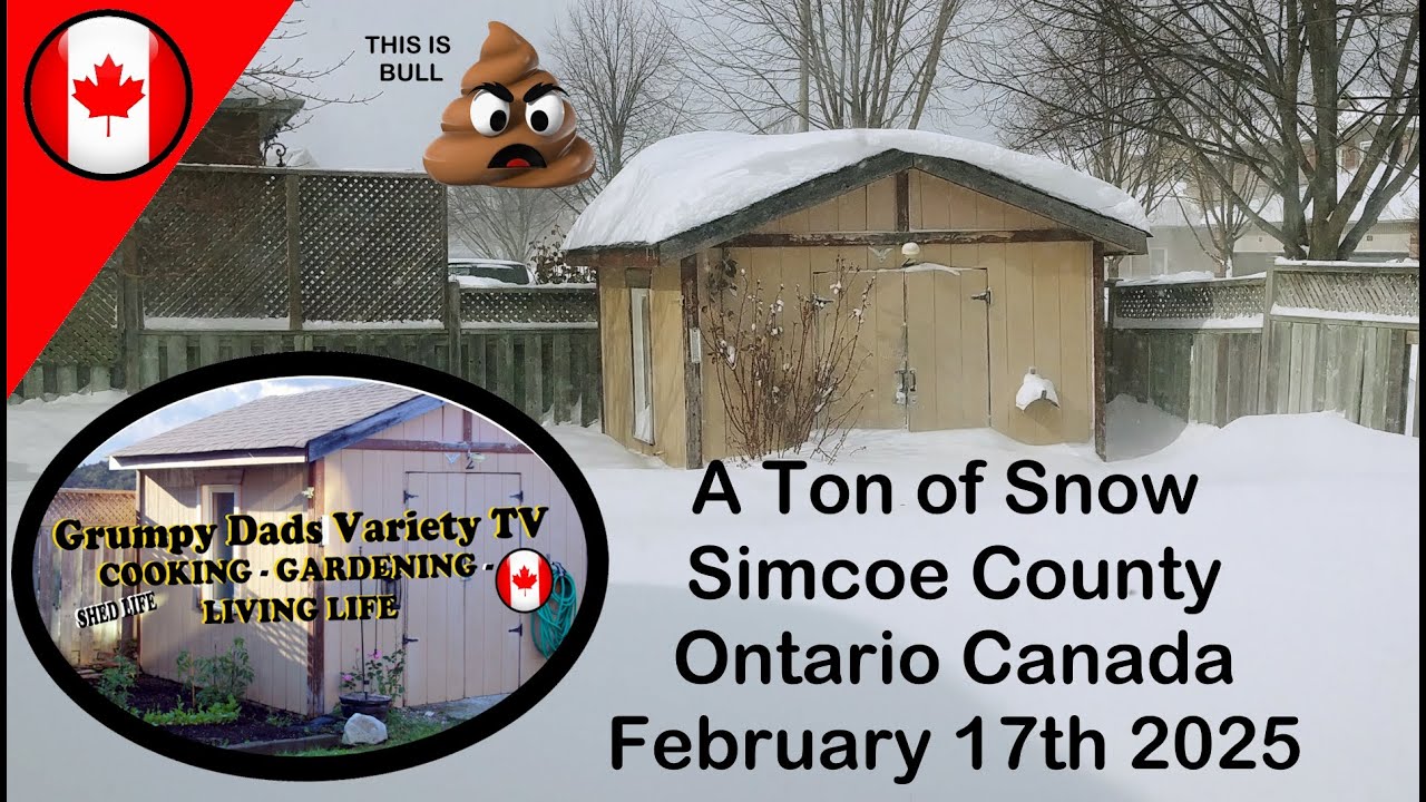 A Ton of Snow Simcoe County Ontario Canada February 17th 2025 - YouTube