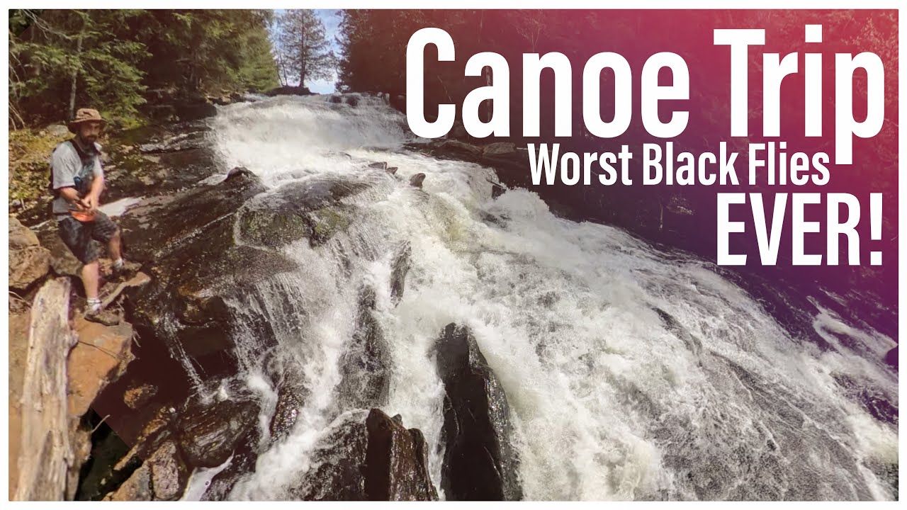 Worst Black Flies Ever - Canoe Trip Haliburton Water Trails - YouTube