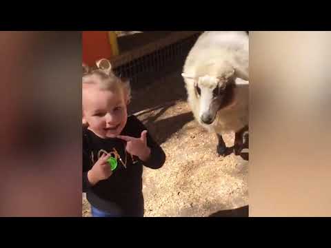 Funny Babies - Kulgili chaqaloqlar  ))