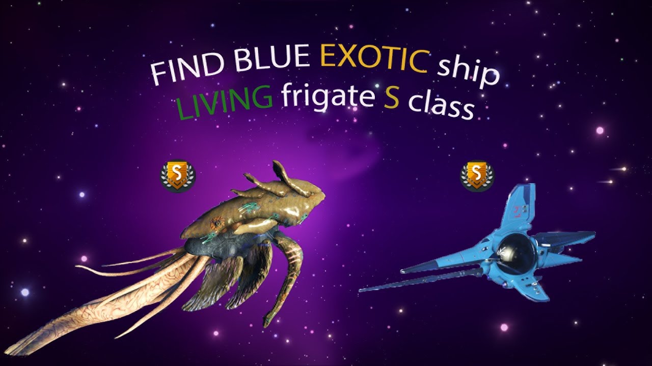 No Man’s Sky guide how to find a living frigate and Blue Exotic in one ...