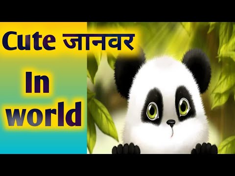 The most beautiful animals in the world / Duniya ka sabse beautiful ...