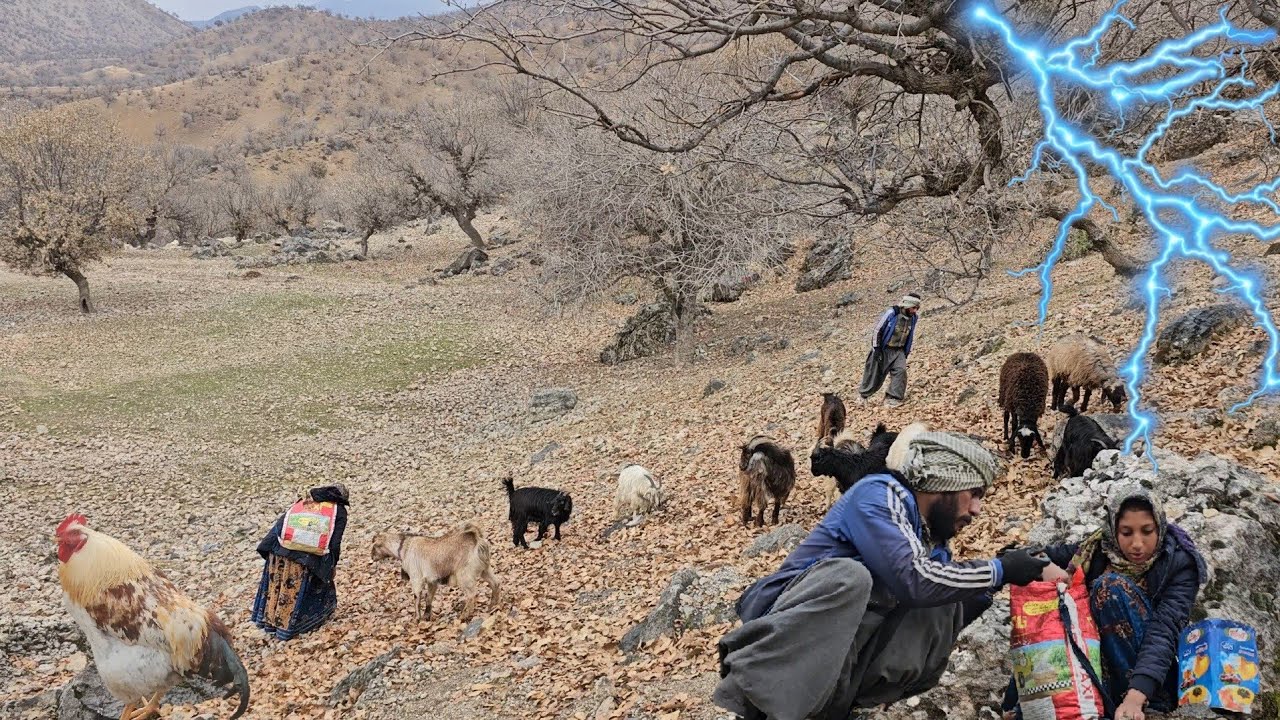 Nomadic Life:Rainy Days of the Nomadic Family:Collecting Acorns for ...