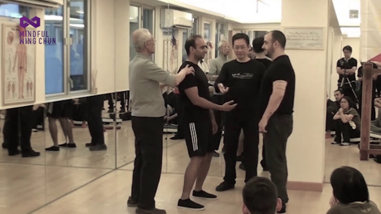 Wing Chun POWER development - simultaneous joint movements - YouTube
