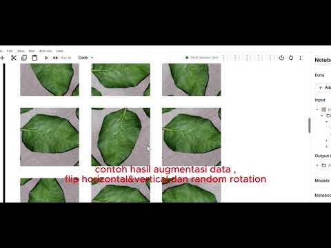 Klasifikasi Penyakit Tanaman pada Daun Paprika Menggunakan ...