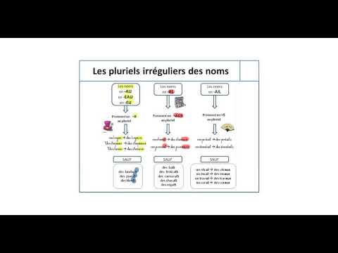 pluriel noms irréguliers - YouTube