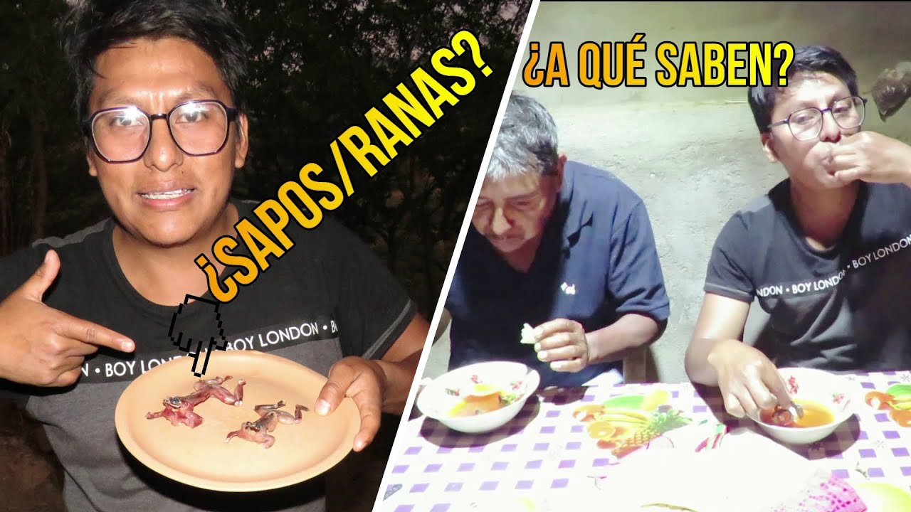 🐸CAZANDO y Comiendo RANAS/SAPOS por Primera Vez en la Montaña de ...