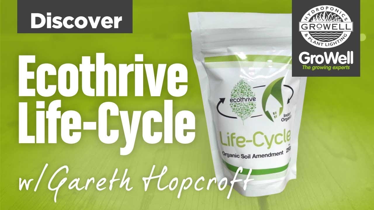Ecothrive Life-Cycle with Gareth Hopcroft | DISCOVER - YouTube