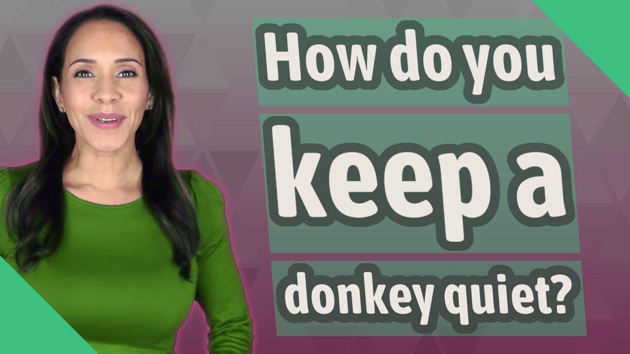 How do you keep a donkey quiet? - YouTube