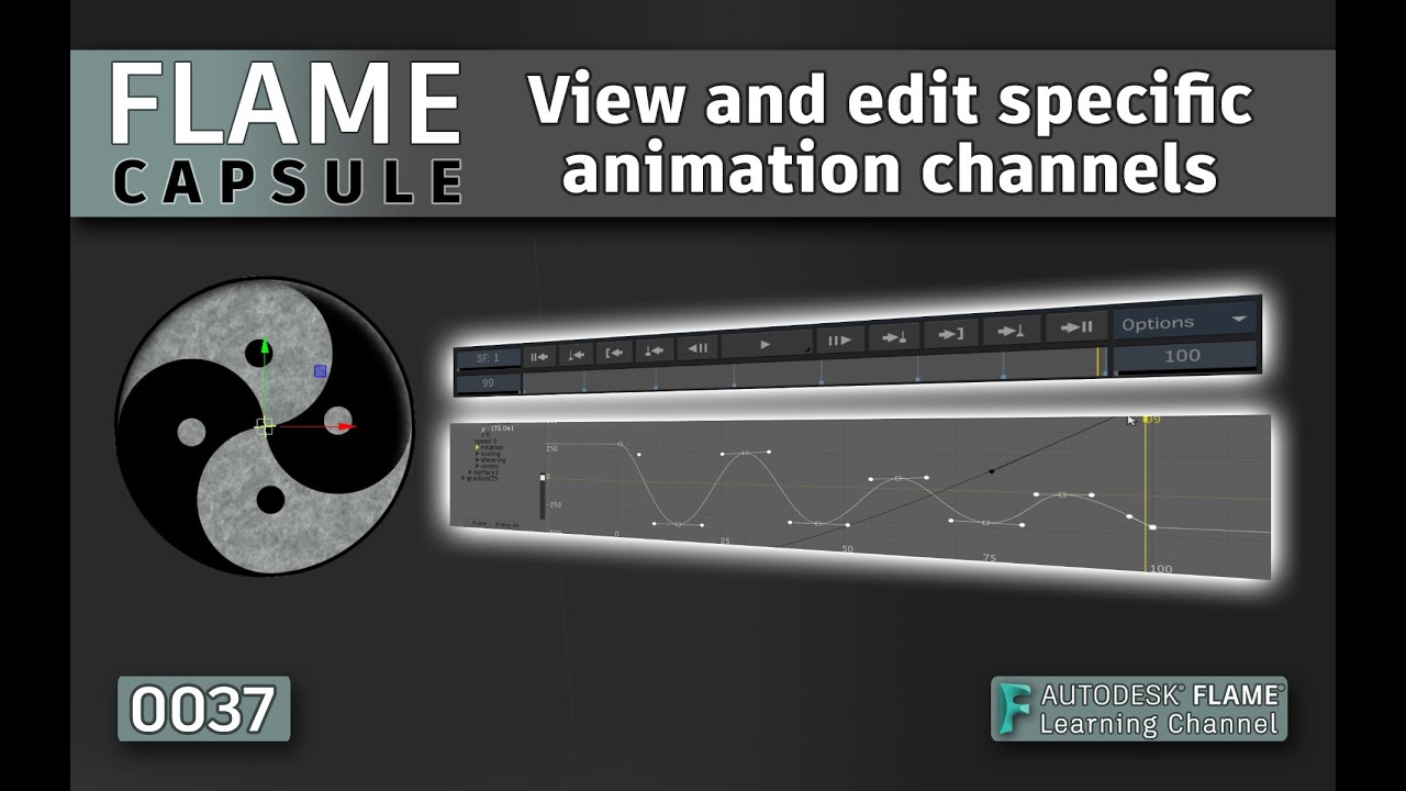 Flame Capsule 037 - View and edit specific animation channels - Flame ...