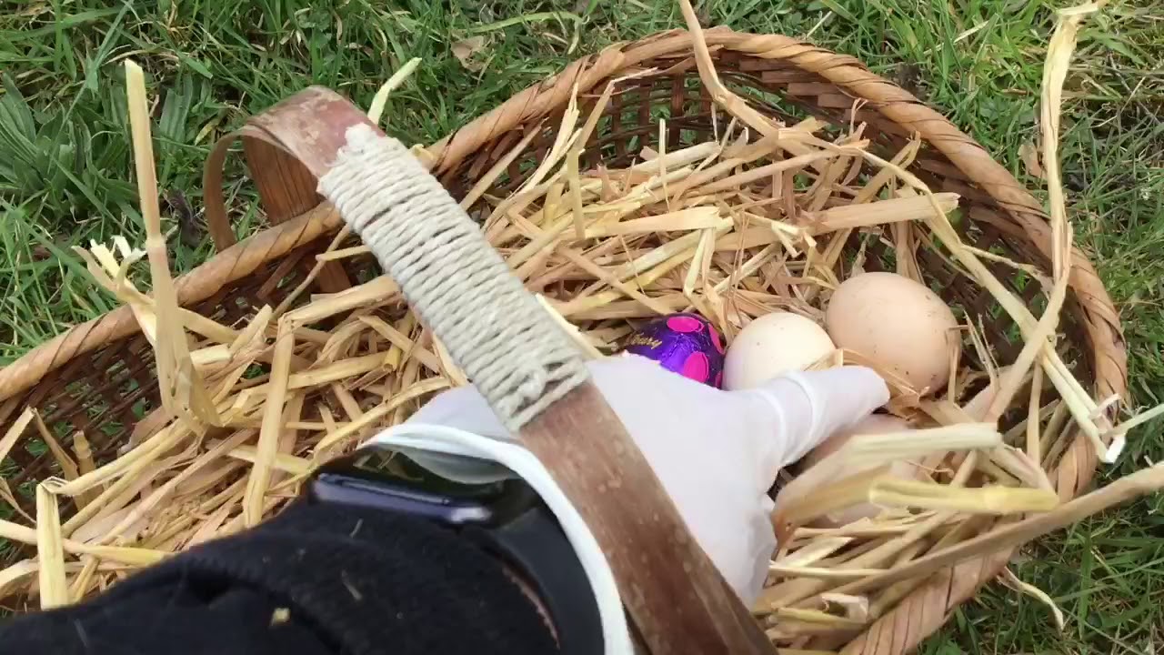 A Farm Yard Easter Egg Hunt - YouTube