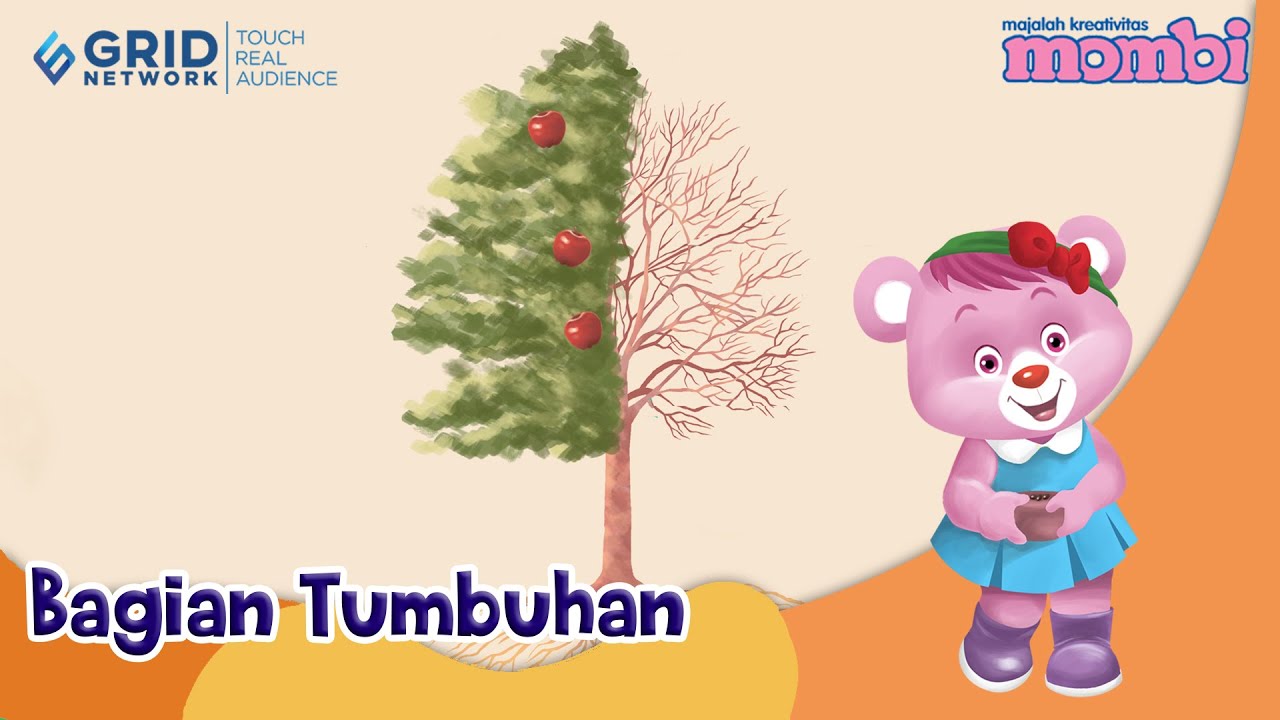 Belajar dan Mengenal Bagian Tumbuhan - YouTube