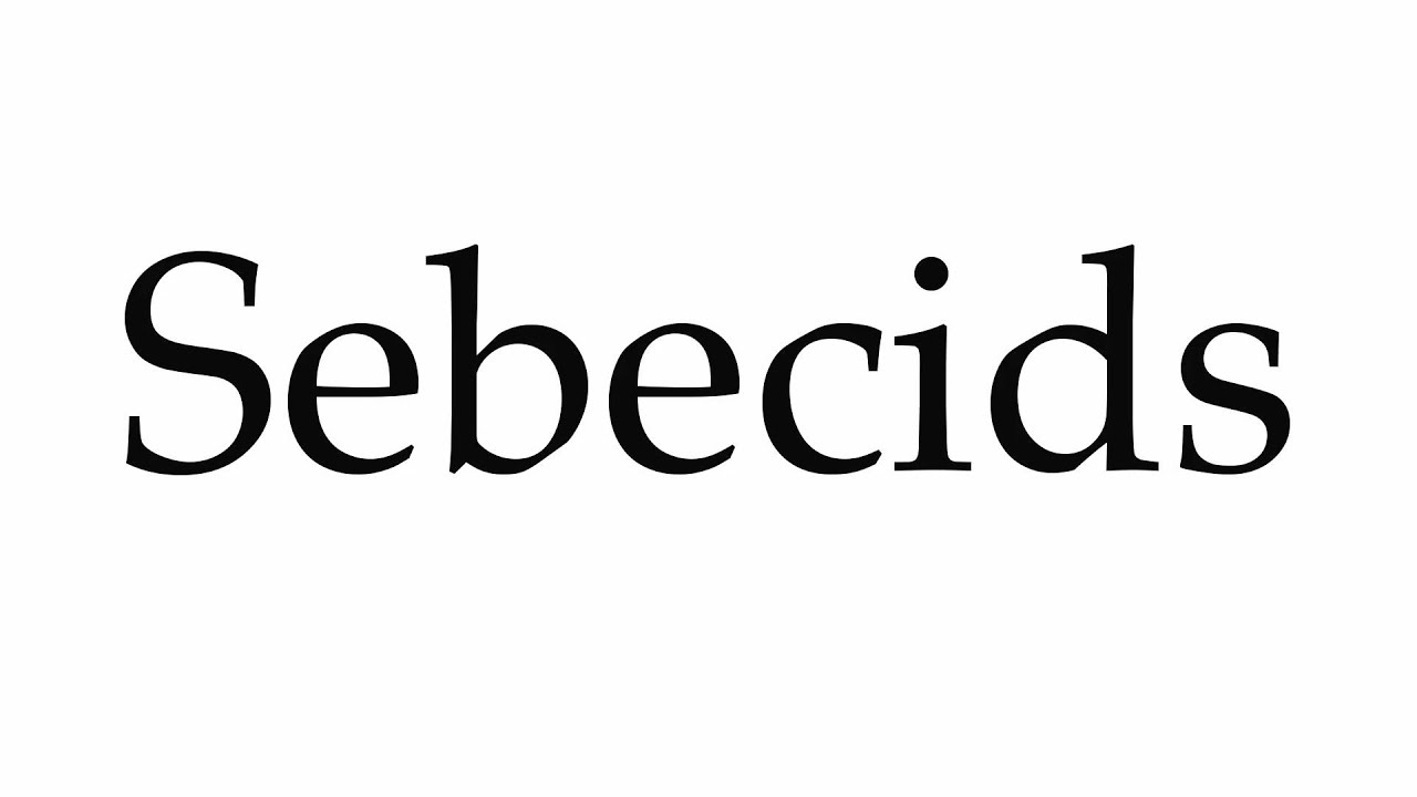 How to Pronounce Sebecids - YouTube