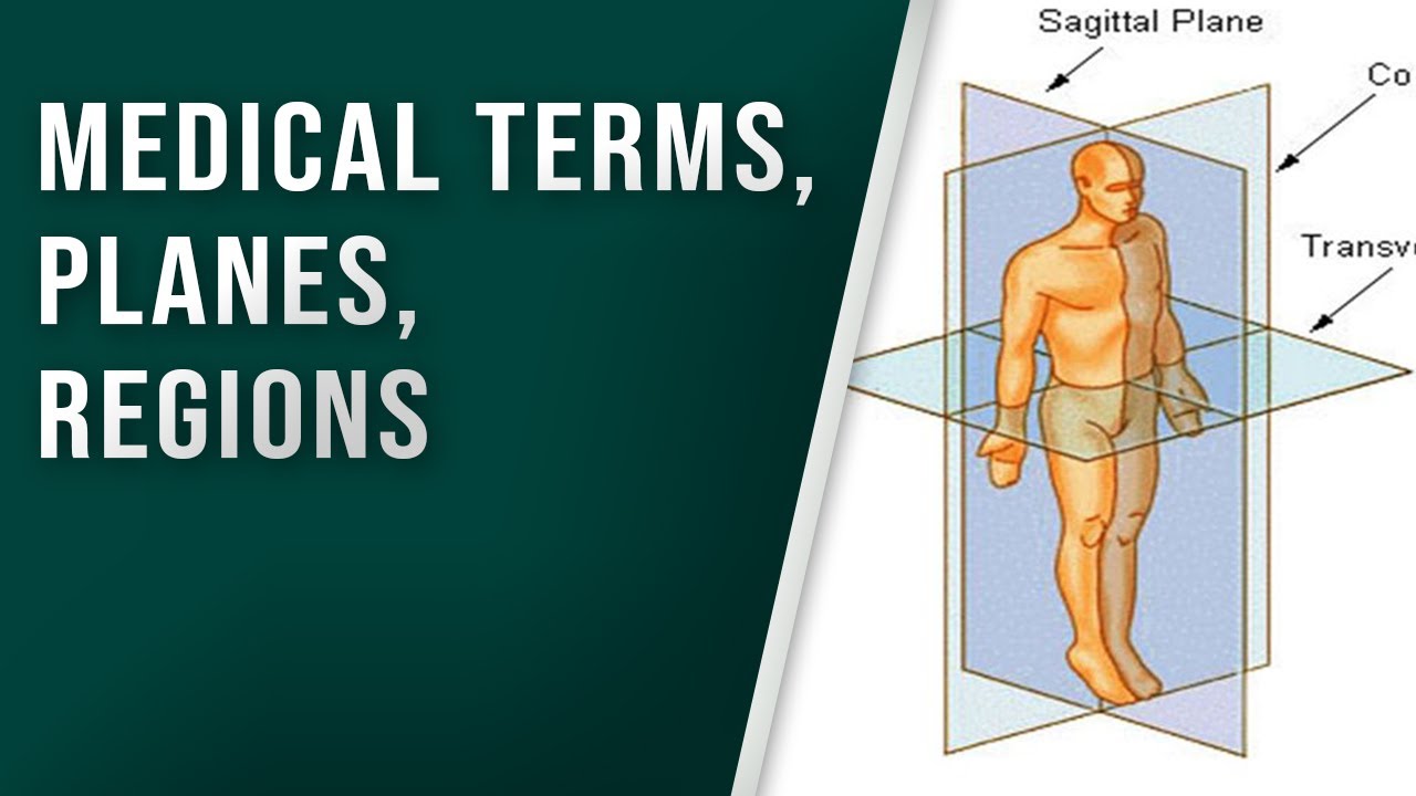 Medical Terms, Planes, Regions - YouTube