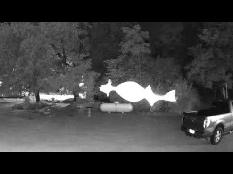 Anomaly investigation footage CLOSE UPS OF FLYING ANOMALIES - YouTube