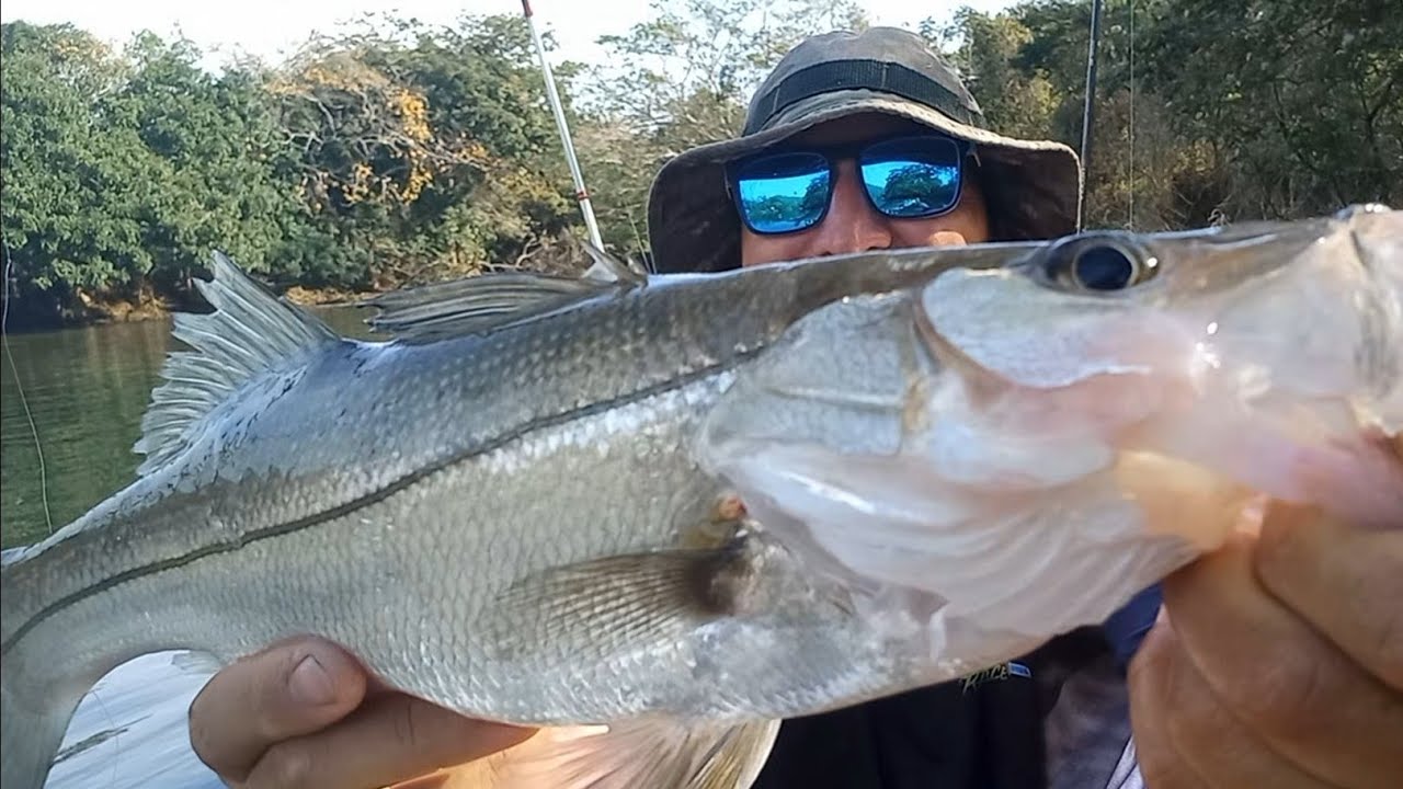 🔴 ROBALO PEVA nas Galhadas - Pesca com Caiaque - Luan Oliveira. # ...