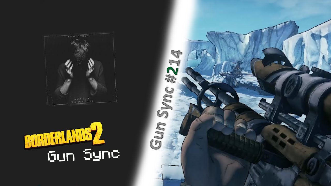 INFINITY | Gun Sync | Borderlands 2 - YouTube