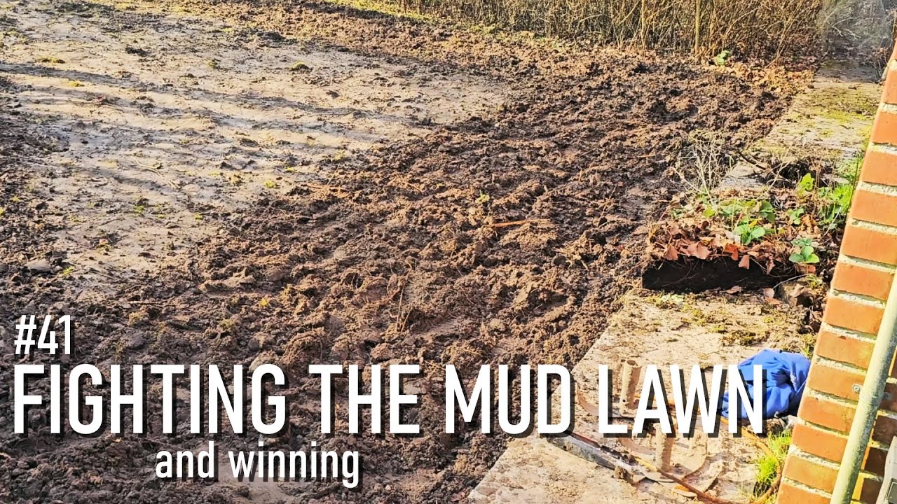 VLOG #41 - Fighting the mud lawn - YouTube