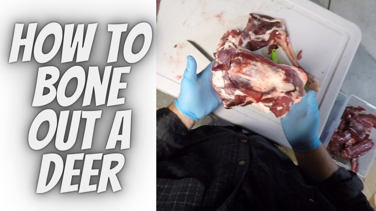 how to debone a deer - YouTube
