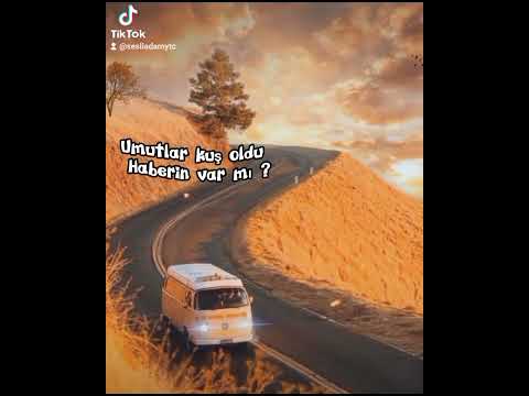 Cahit Berkay 🕊️ Arda Kalan 🎼 En Çok Dinlenen Duygusal Fon Müzikleri 🎼