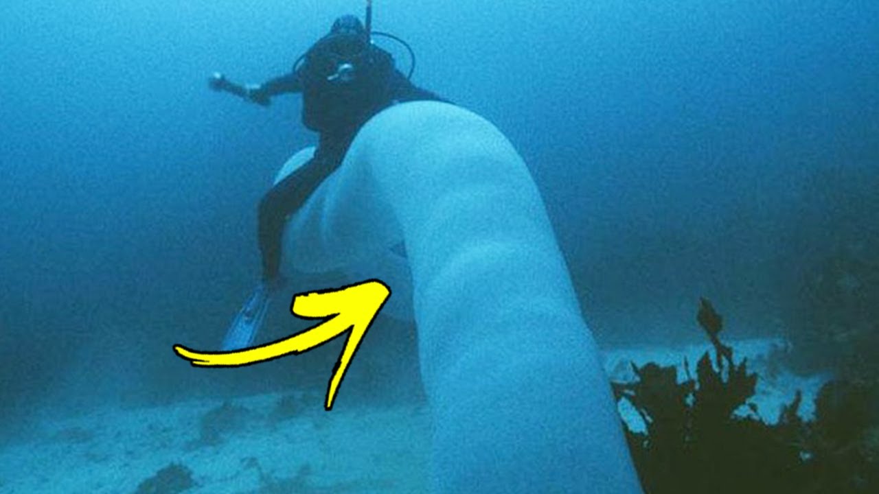 Top 10 Deadly Prehistoric Ocean Creatures That May Still Exist - YouTube