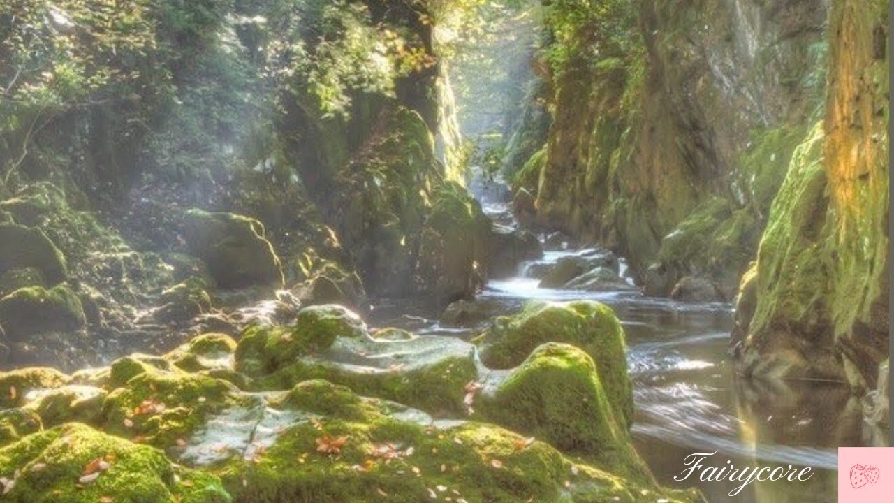 You're a Fairy in a Fairy Forest 🌳 | fairycore, aesthetic, playlist 🌳 ...