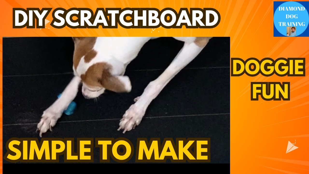 DIY Dog Scratchboard Simple To Make Dogs Love It Too - YouTube
