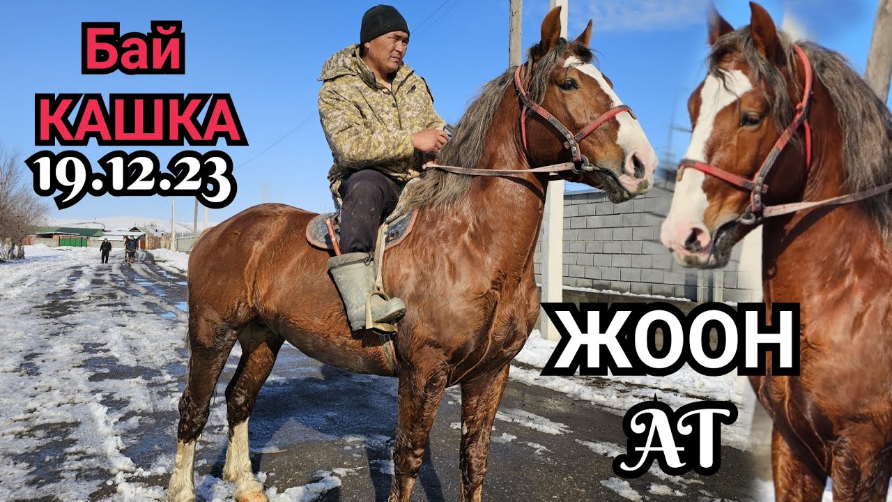 БАЙ КАШКА - YouTube