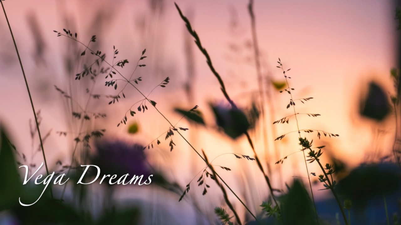 Relax vibe #19. Lounge/Hip-hop/electronic/Lofi music. - YouTube