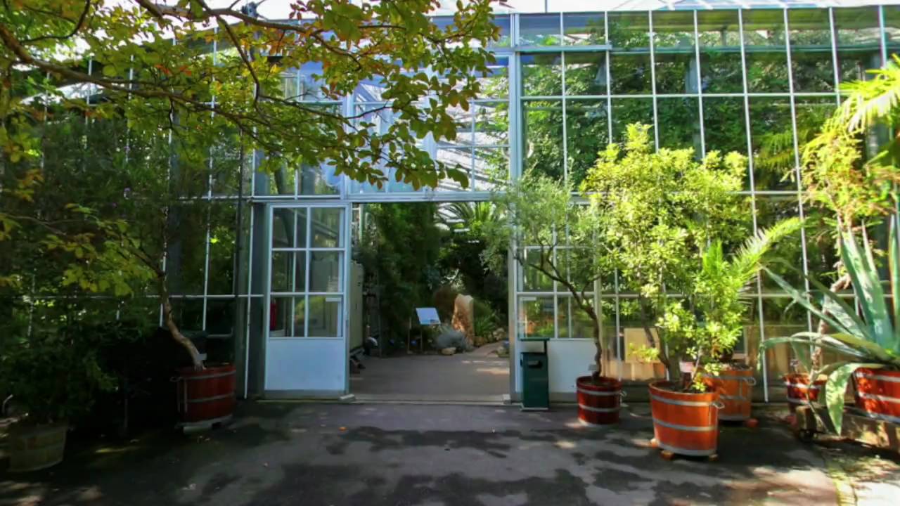 Hortus Botanics Botanical Gardens - Amsterdam - YouTube
