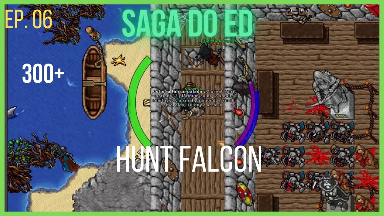 Saga Do ED Hunt Falcon Paladino / Knight #tibia Boss - YouTube