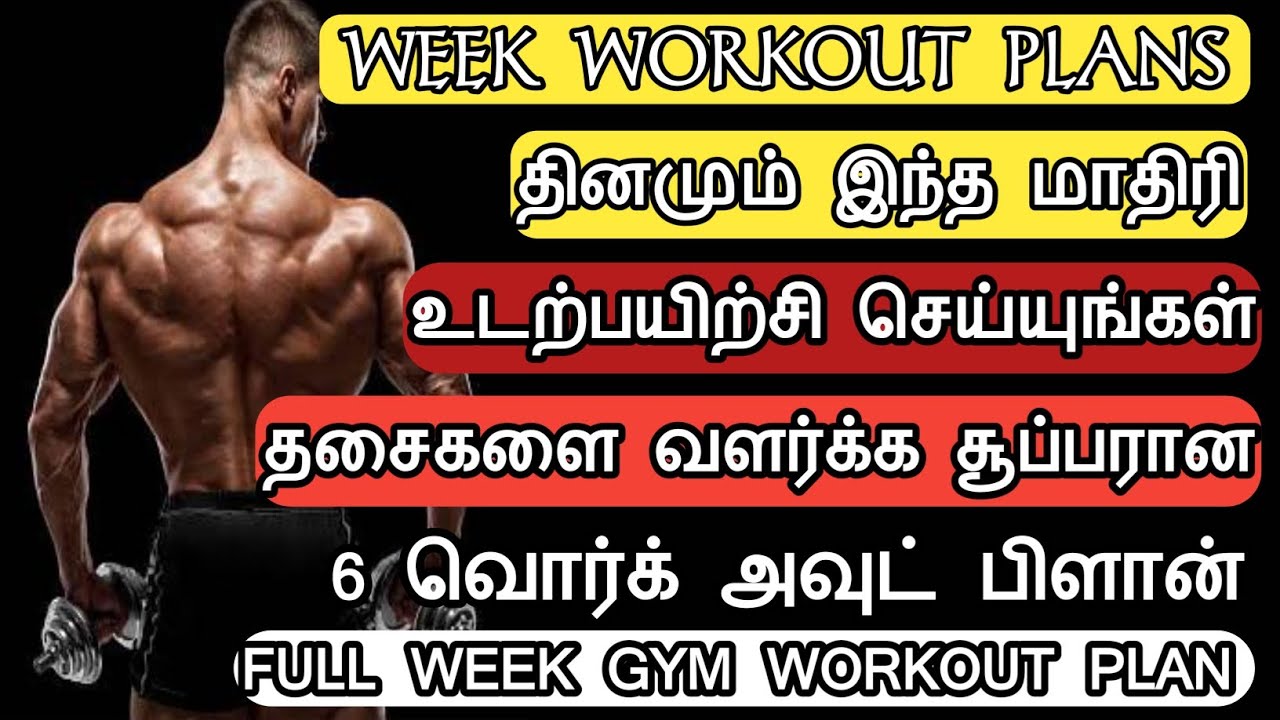 FULL WEEK WORKOUT PLAN FOR BEGINNERS IN TAMIL|உடற்பயிற்சி செய்யும் முறை|WORKOUT PLAN - YouTube