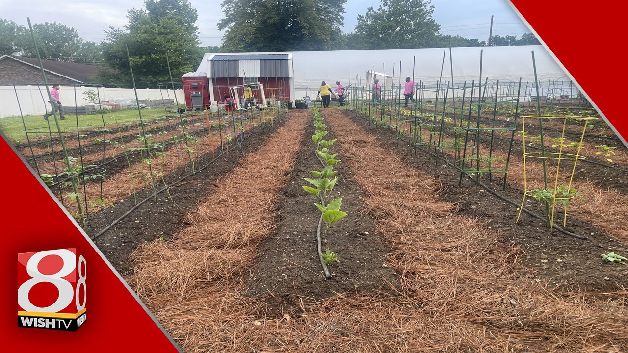 Elephant Gardens receive upgrades for Juneteenth service project - YouTube