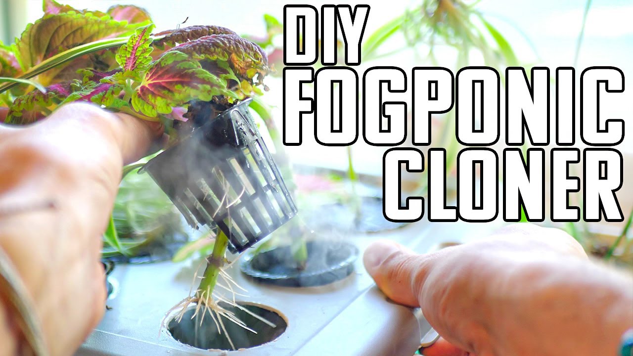 How To Build A Fogponic Cloner | Simple DIY Cloner for Propagating ...