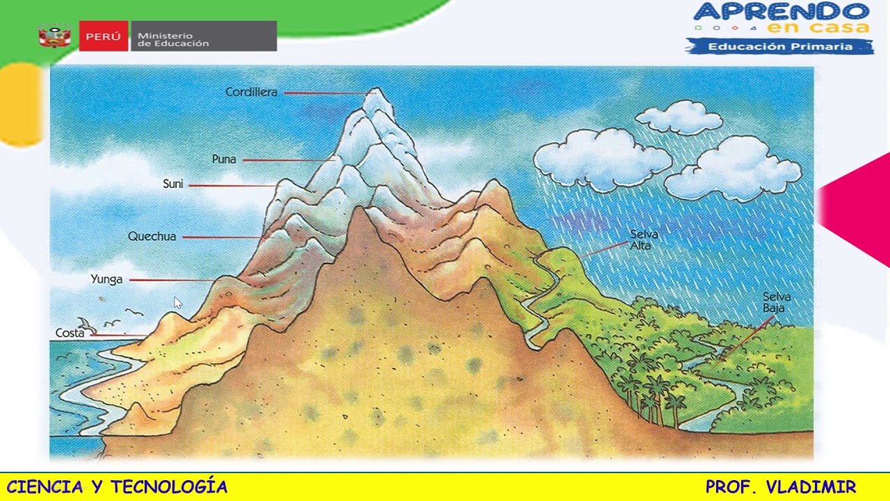 LA REGION SUNI 5TO - YouTube