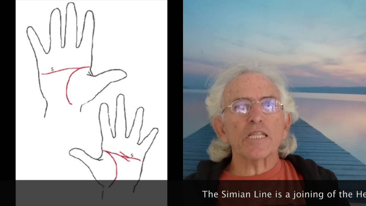 Palmistry Talks 42- Simian Line - YouTube
