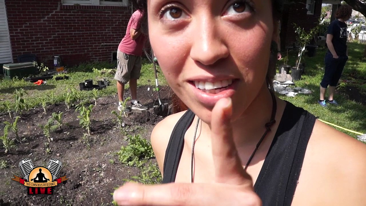 Free Thinker House #16: Introducing Becky the Chicken! - YouTube