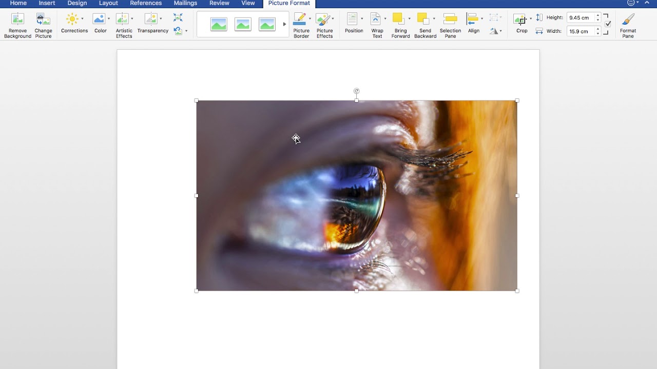 How To Move Picture In Ms Word In Mac YouTube How To Move Picture In Ms Word In Mac YouTube