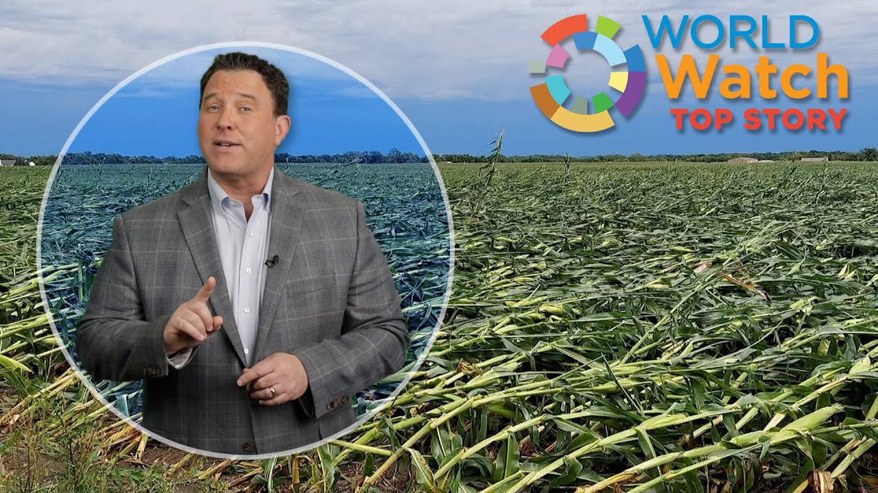 WORLD Watch Top Story Aug 18, 2020 - YouTube