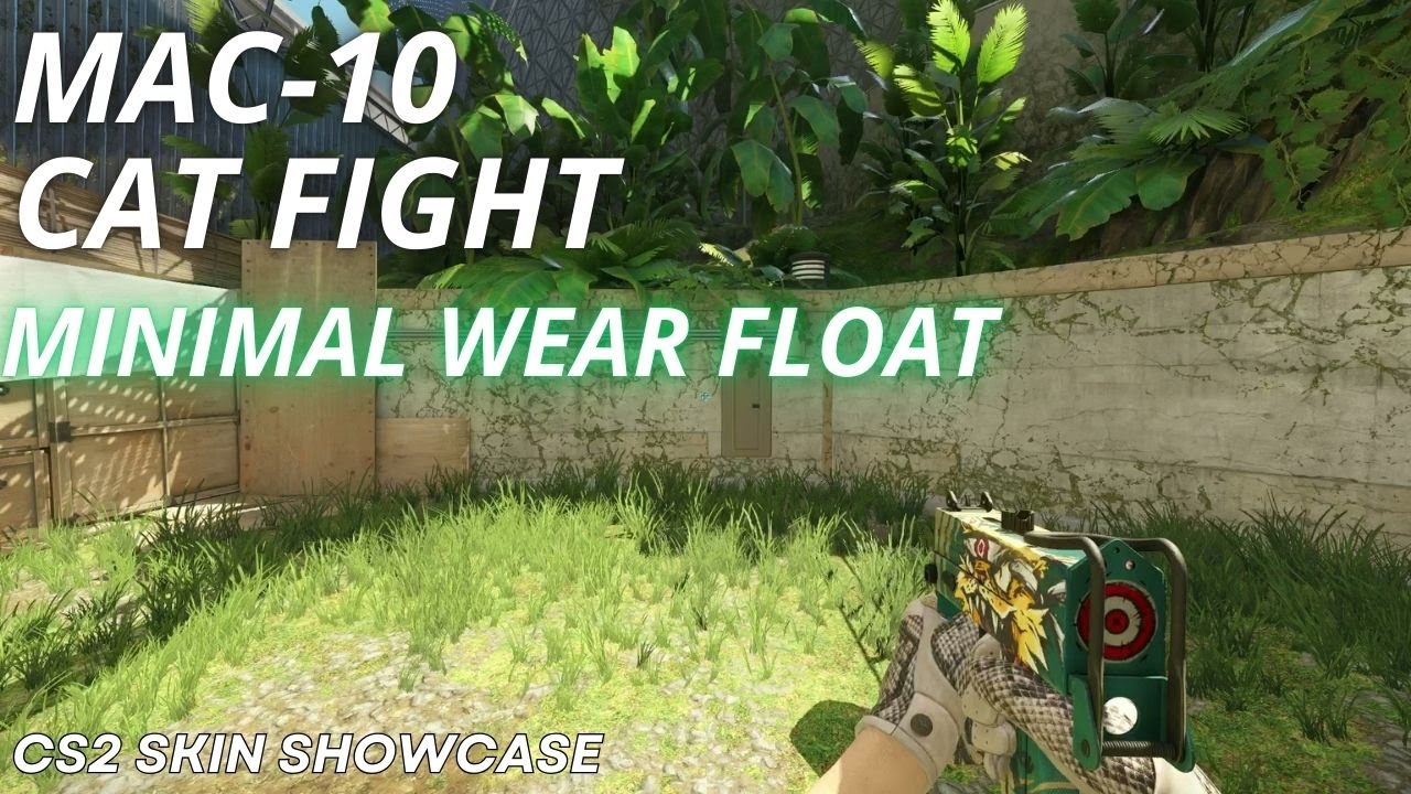 MAC-10 Cat Fight (Minimal Wear) | CS2 Skin Showcase - YouTube