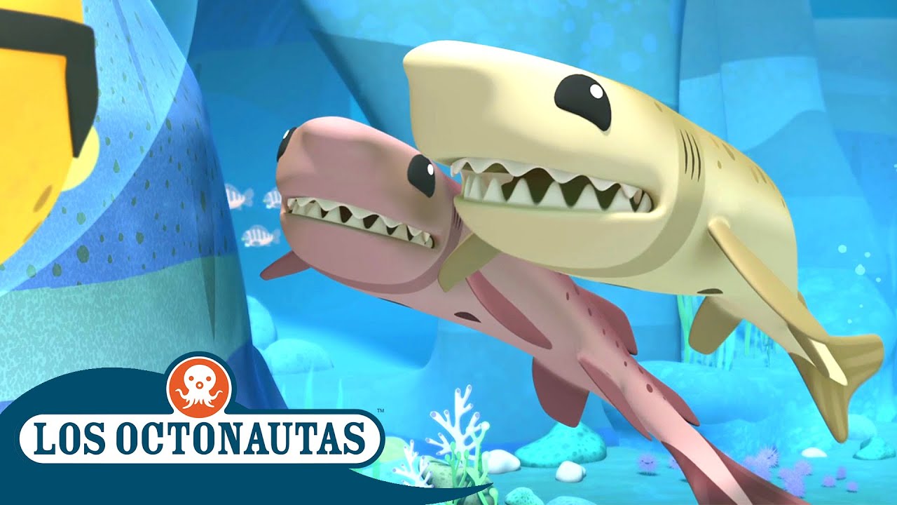 Los Octonautas Oficial En Español - El tiburón cigarro y el banco de ...