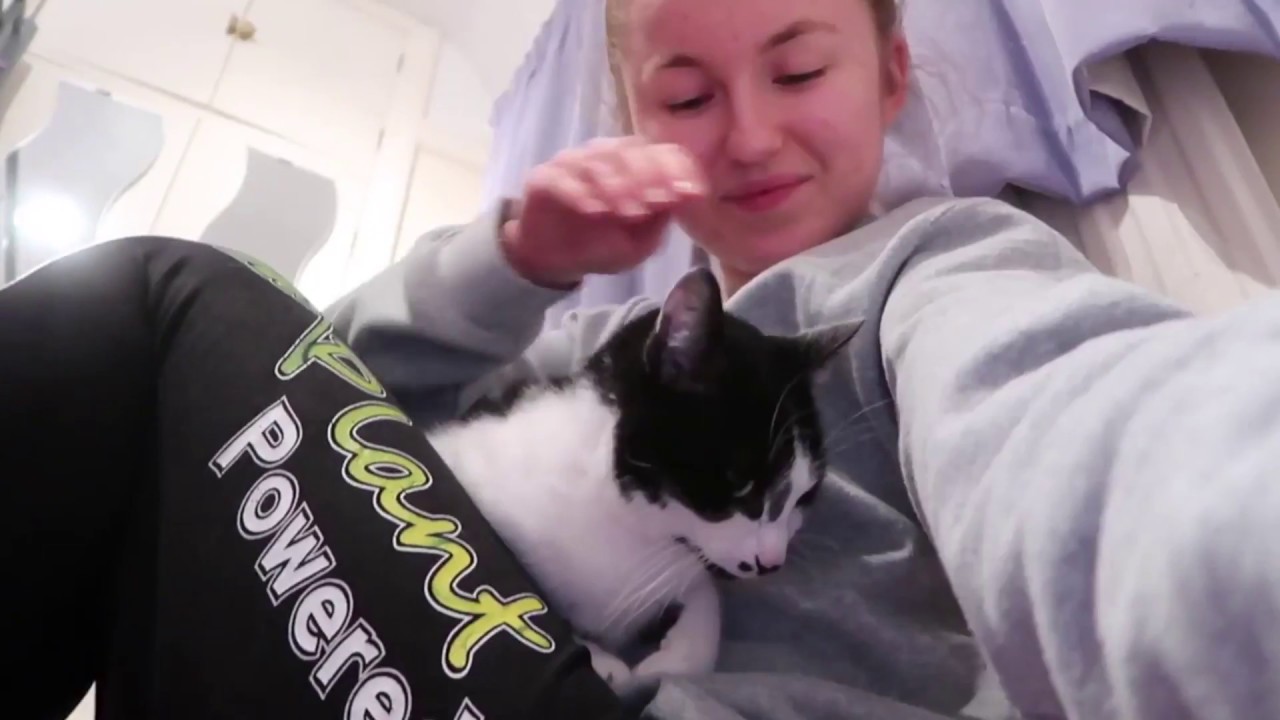 LemonEm Shows off her Vegan leggings from YouStatement.com - YouTube