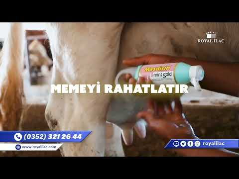 Memeyi Rahatlatan Doğal Ürün Masdisin Mint Gold / Royal İlaç